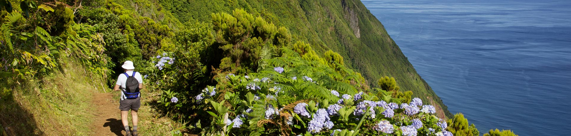 Azores walking holiday: Faial, São Jorge and Pico trip : Intura, Azores ...